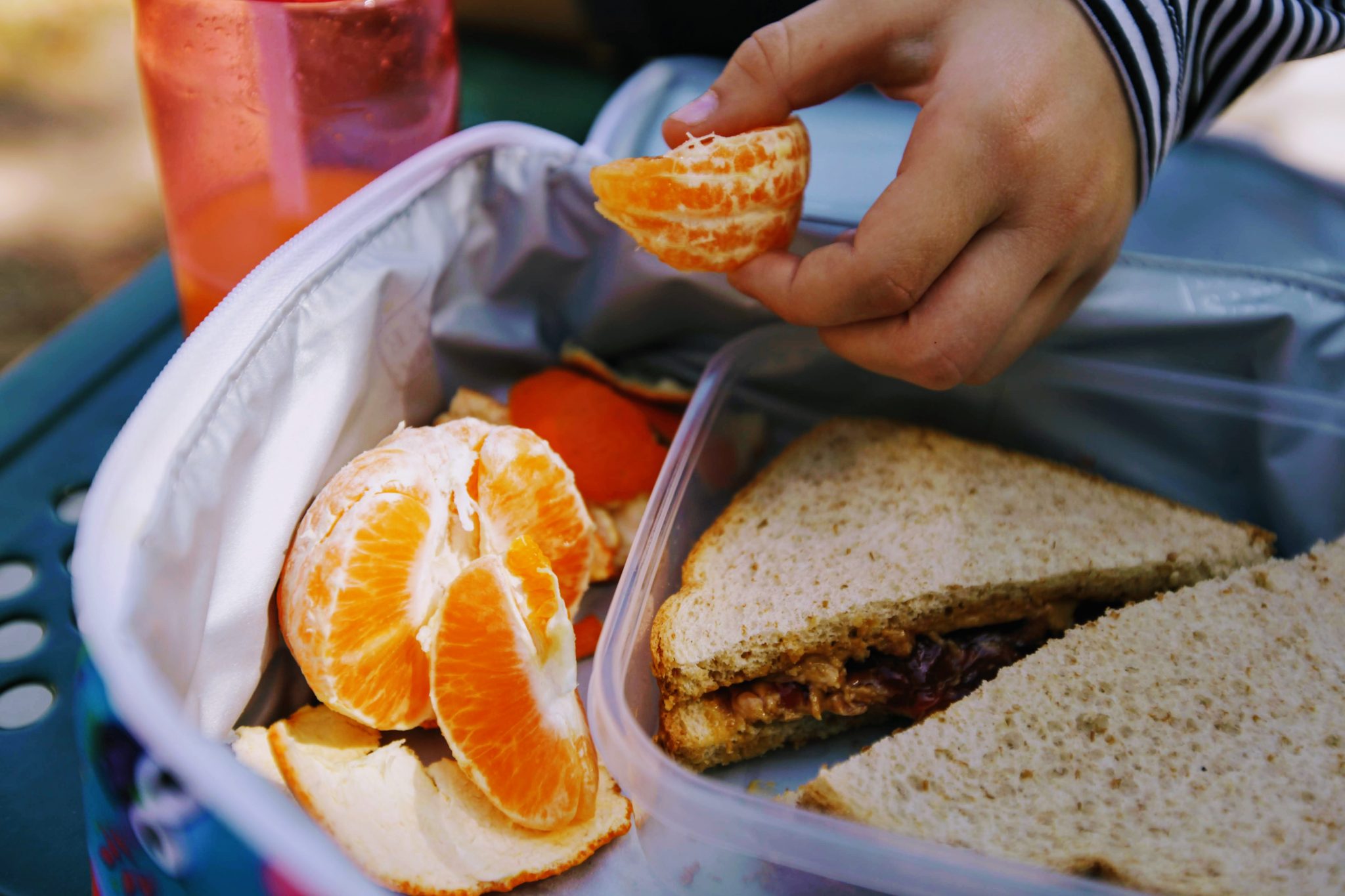 Sugar Belle Citrus Fruit